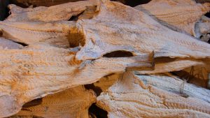 Dried and Salted Icelandic Fish – Iceland in Focus