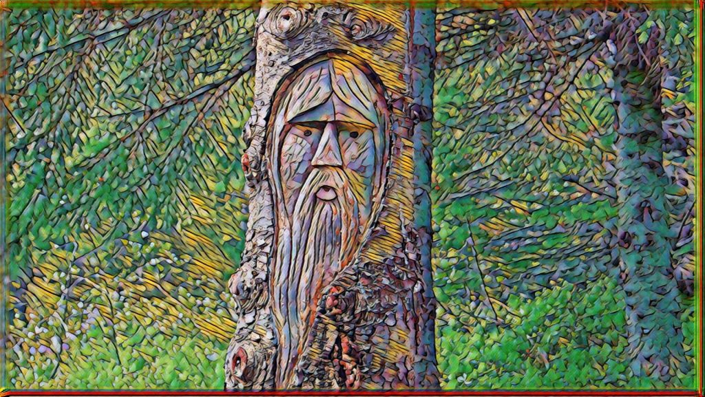 The Forest Gnome – Iceland in Focus